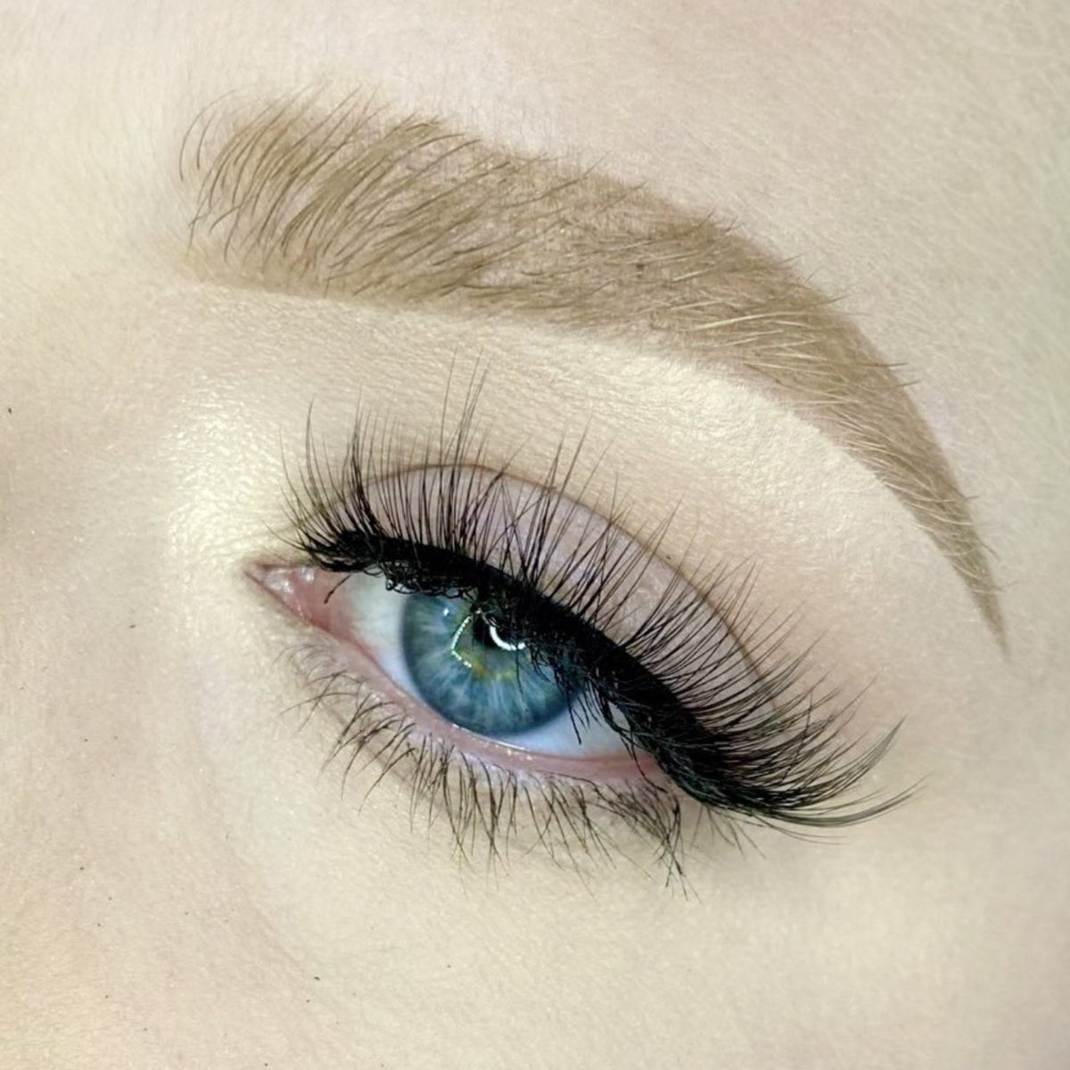 DREAM LASH | Nimae Beauty